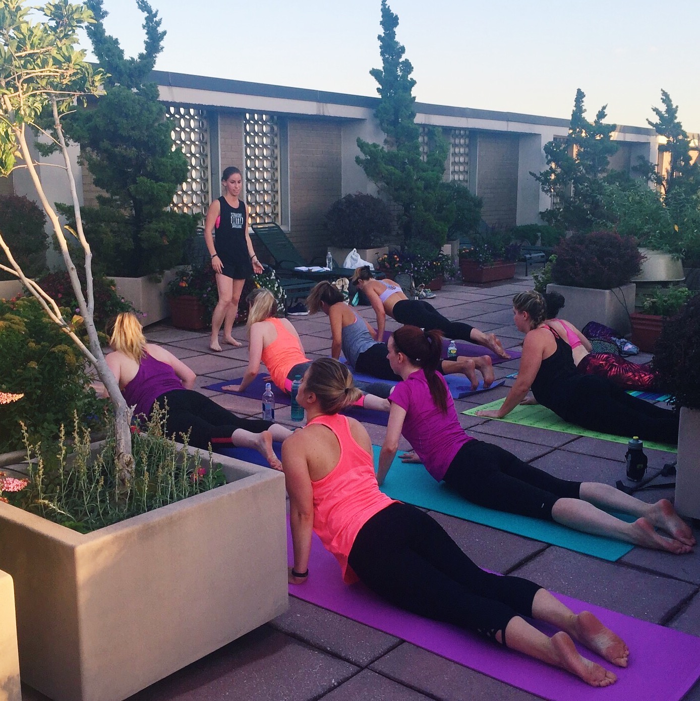 [RECAP] Holistic Happening #1: Downward Dog & Dine - Kayla in the City